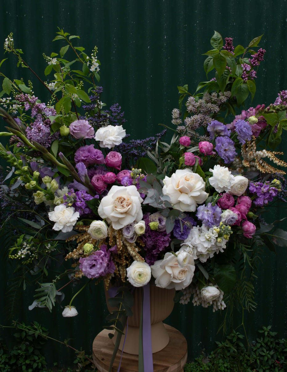 morning dew – Lucy Loves Charlie