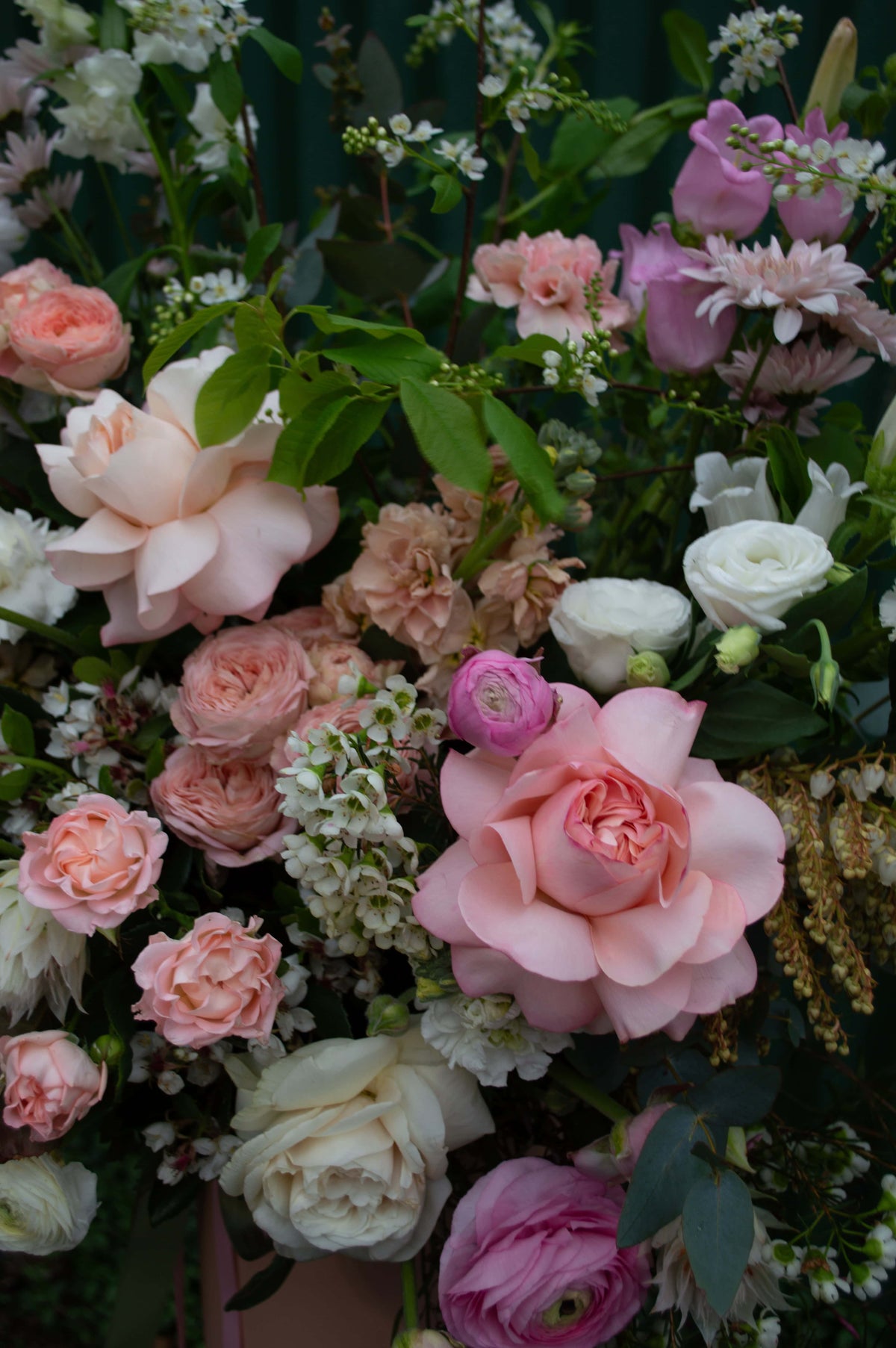 rosy nimbostratus – Lucy Loves Charlie